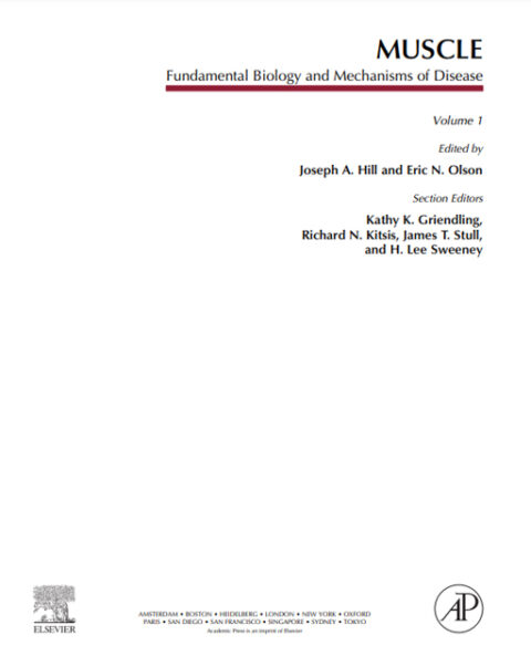 Muscle Fundamental Biology and Mechanisms of Disease | Library - Lyceum ...